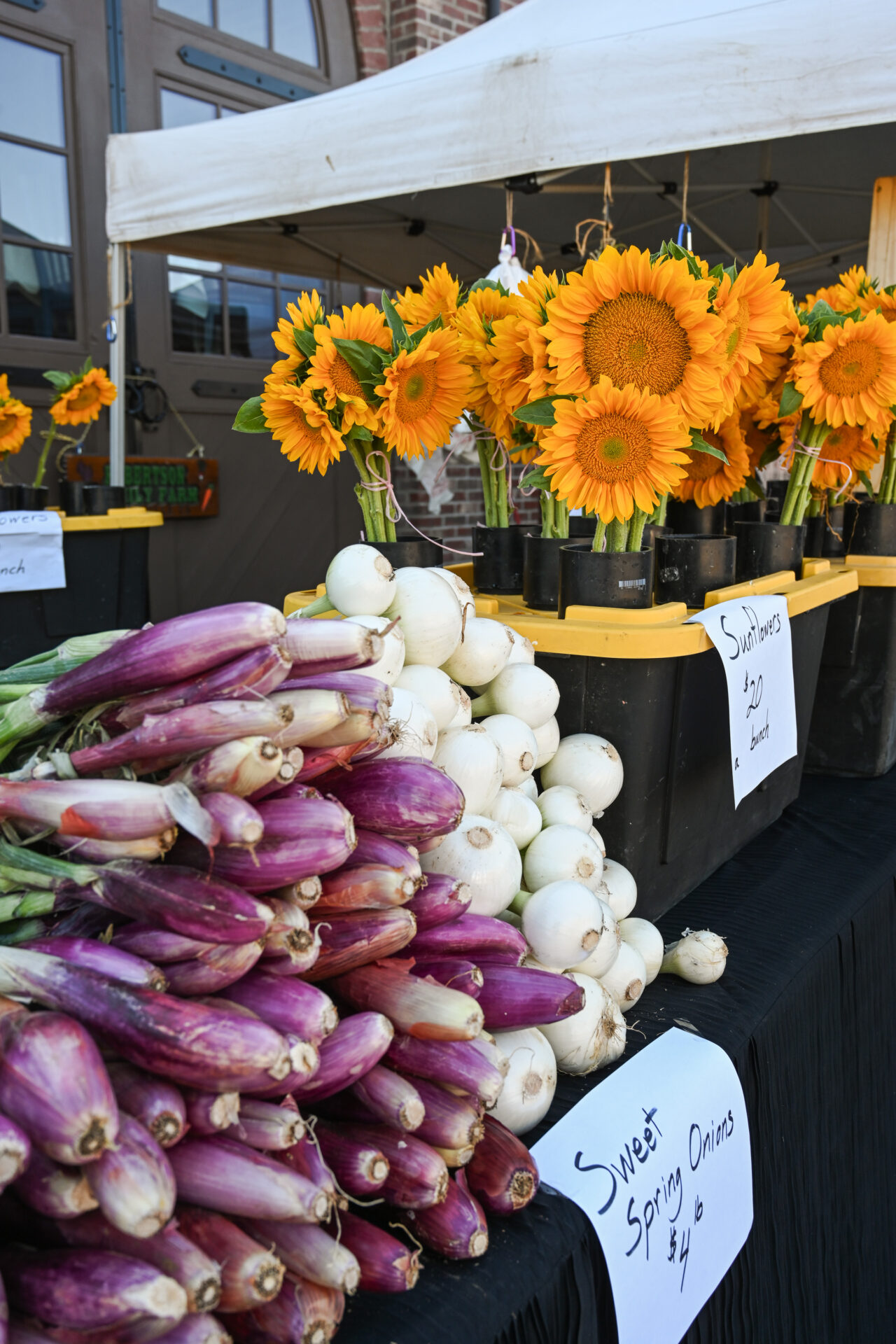 Farmers Market in the Plaza - Folsom Historic District